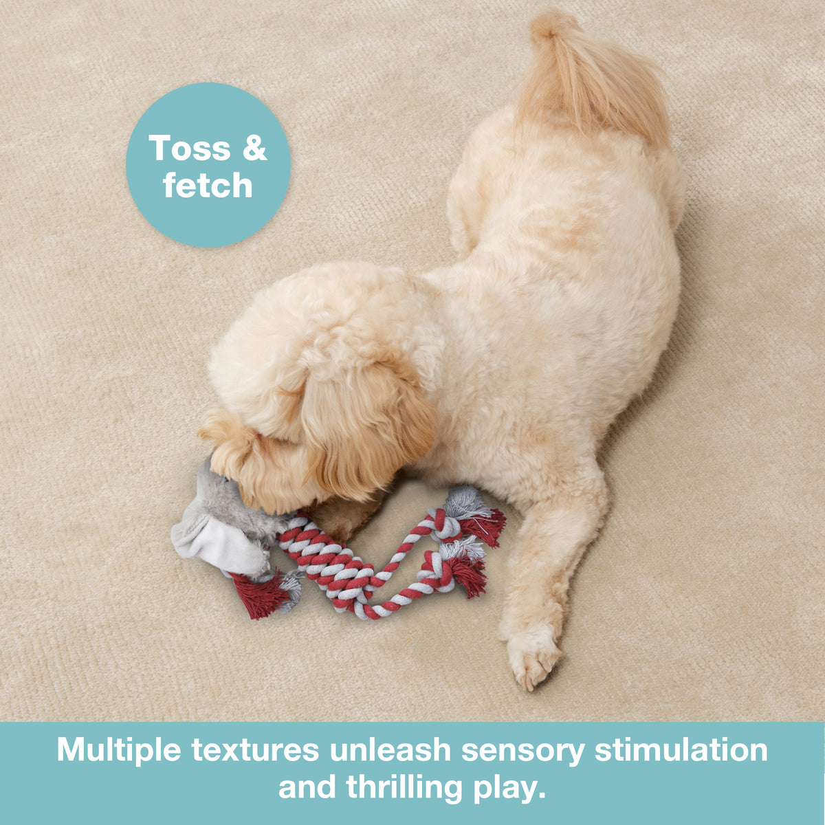 CT051 - Plush Rope Squeak Toys – Cozy Tails
