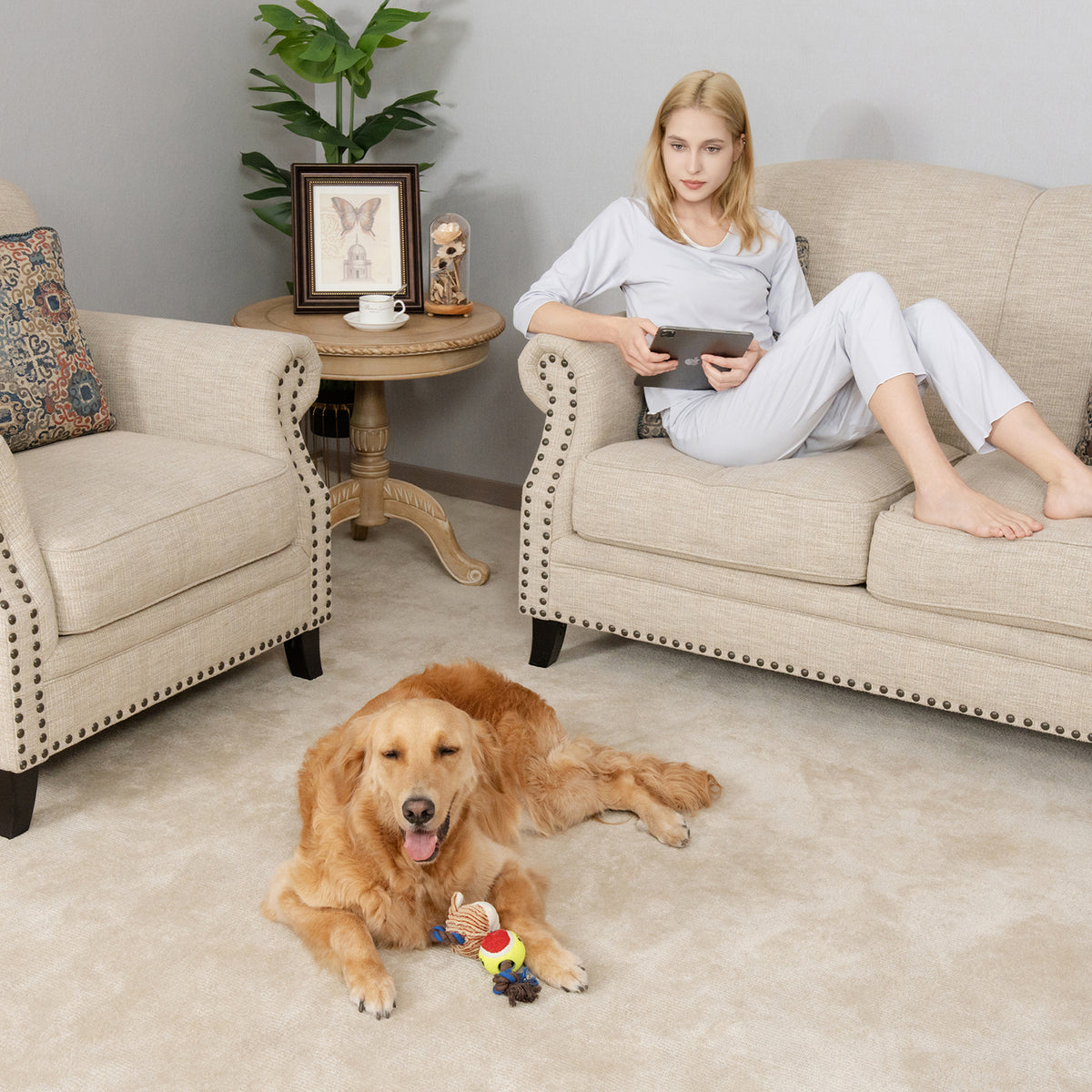 CT052 - Plush Ball Squeak Toys – Cozy Tails